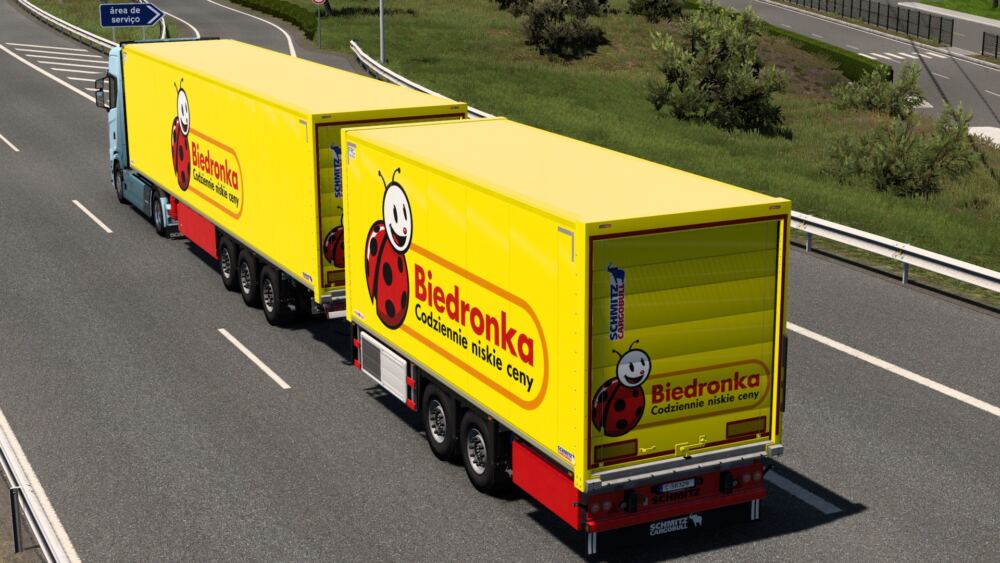 SKIN BIEDRONKA SCHMITZ CARGOBULL S.KO COOL BY RODONITCHO MODS 1.0 1.50 ...