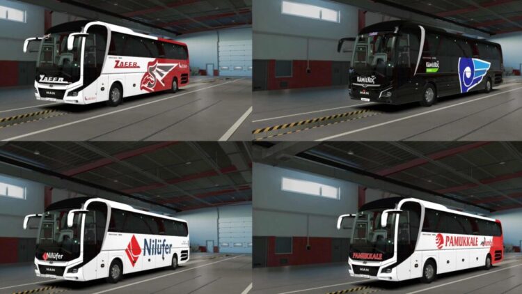 man lion coach | ETS2 mods