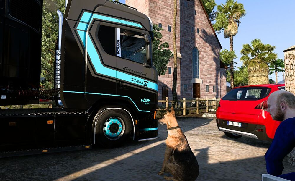 Combo skin packs | ETS2 mods